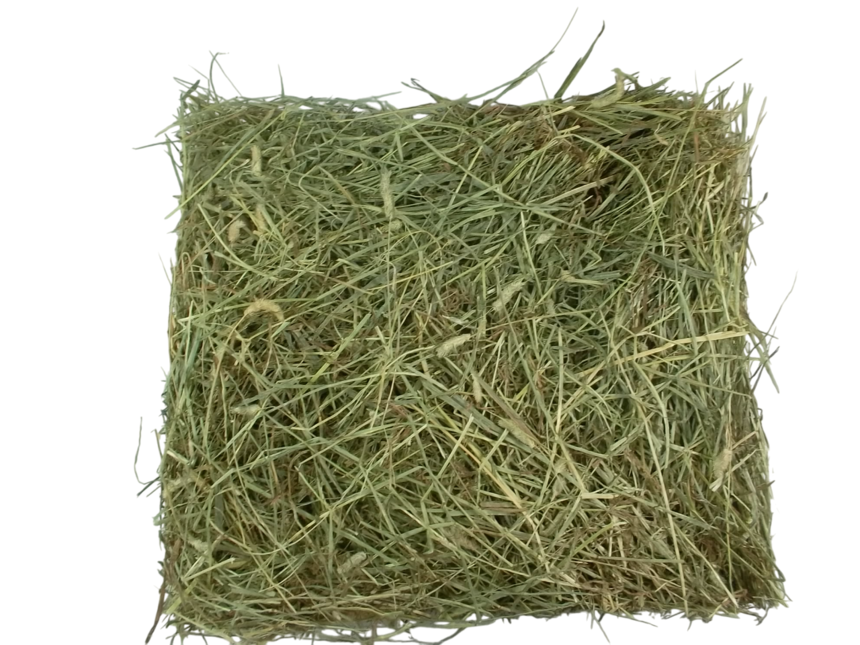 Heu kaufen - Premium Heu & Stroh günstig Online vom Heuandi